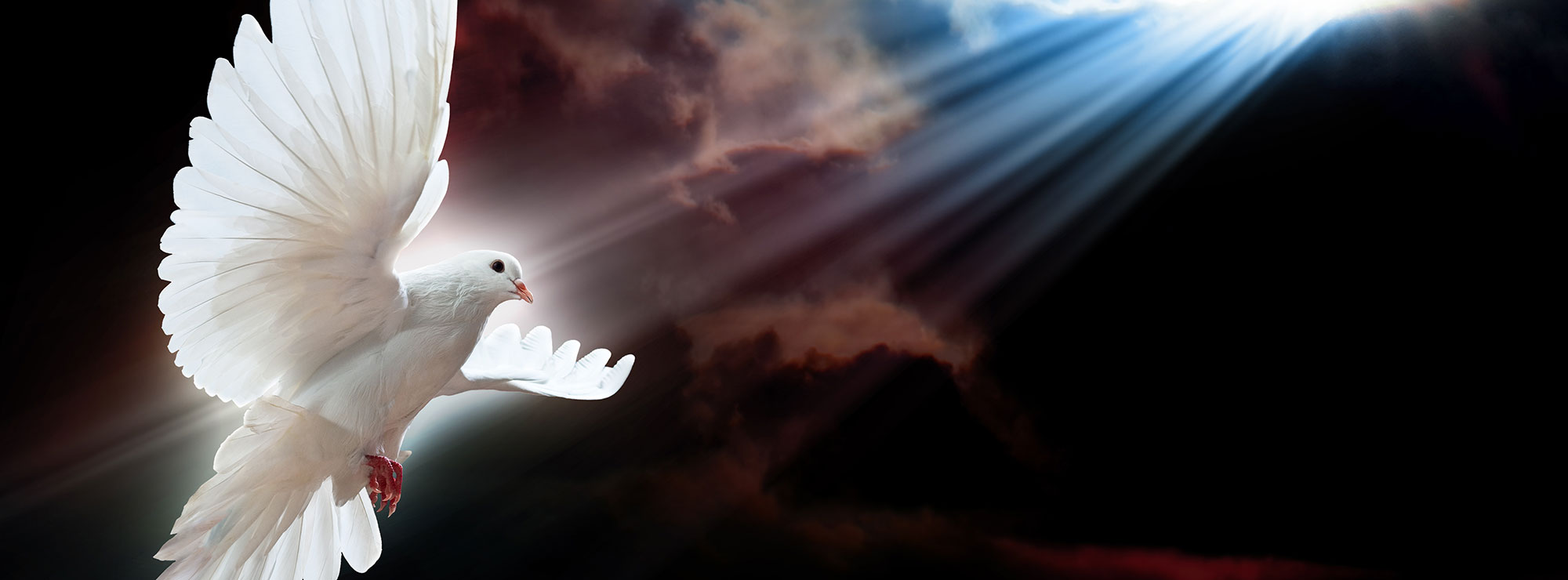 SDA Radio - Loud Cry Media